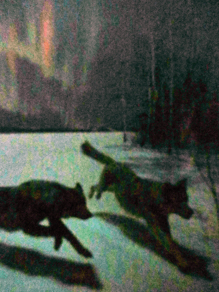 Using form: nonce form; John Beaton, ‘Wolves’ | Form in Formless Times