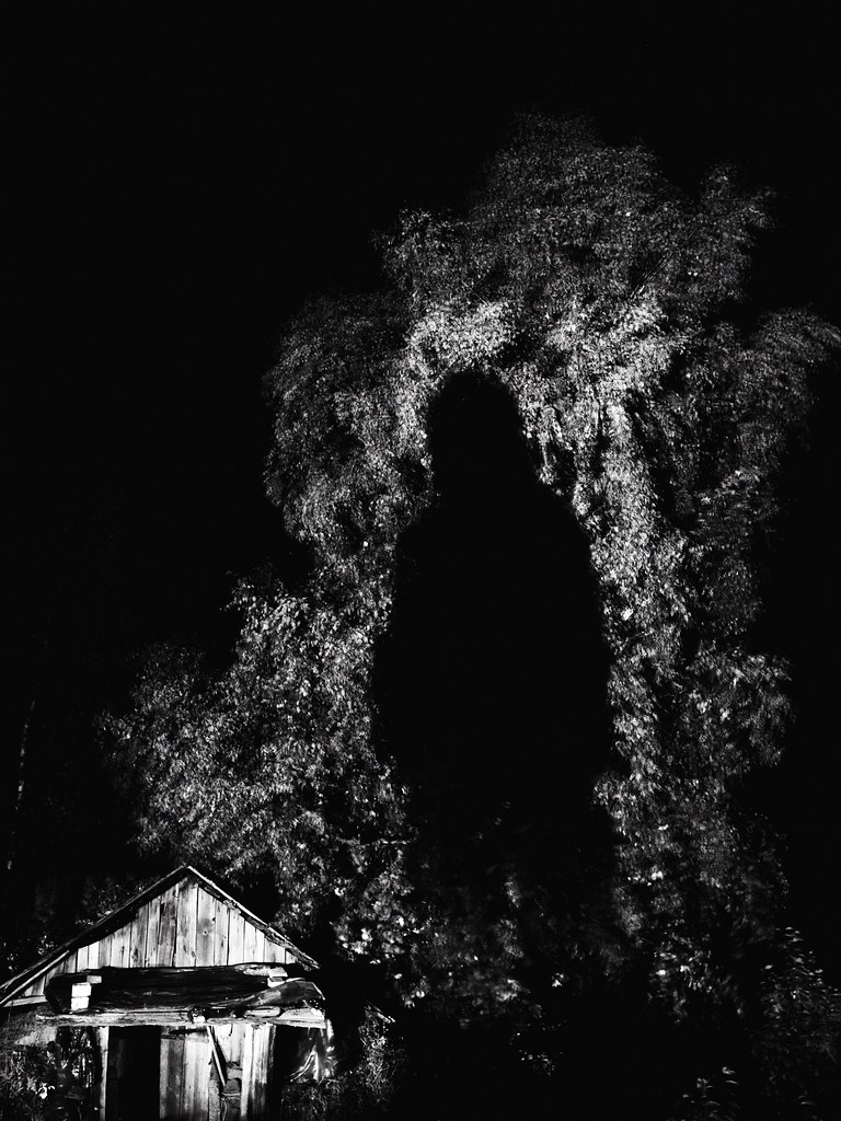 Susan McLean, ‘Dead Giveaway’ | Form in Formless Times