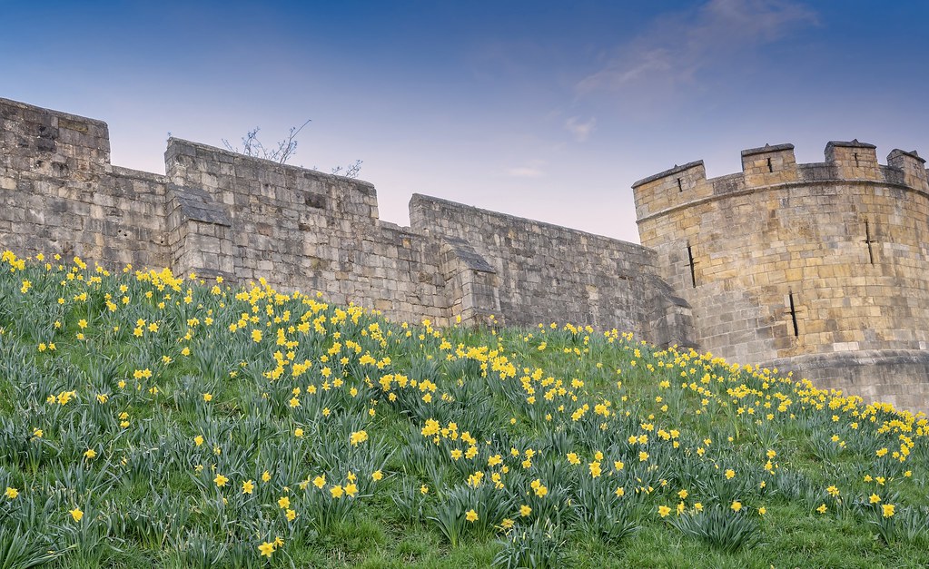 Using form: Acrostic Sonnet: Mike Mesterton-Gibbons, ‘Lonely As A Cloud ...